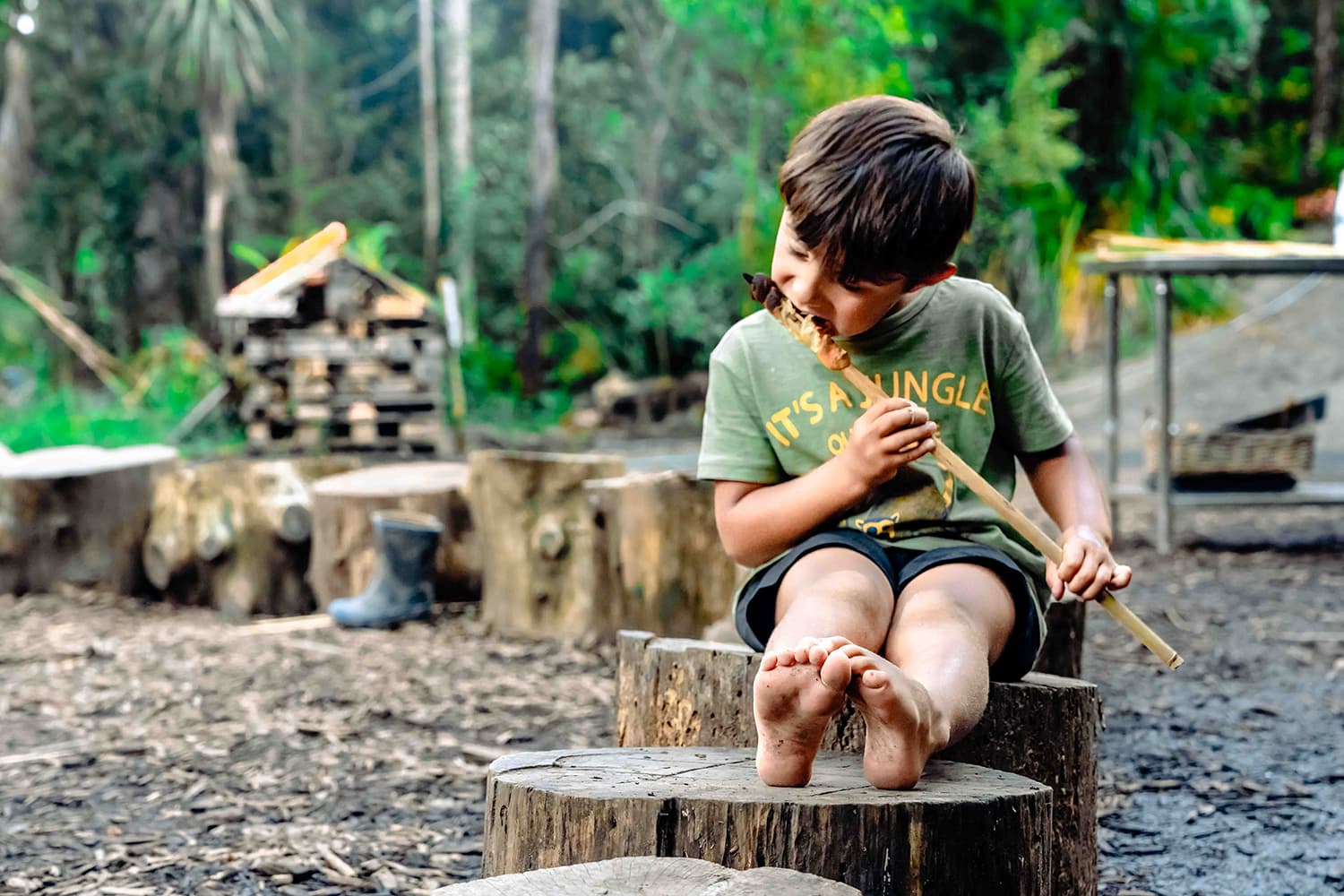 Experiences - The Forest School
